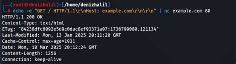 netcat usage essential examples for managing network