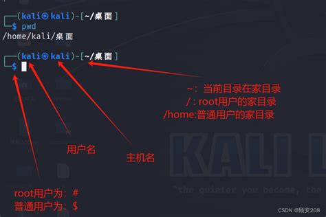 Linux基础(一) Csdn博客 Linux基础(一) Csdn博客