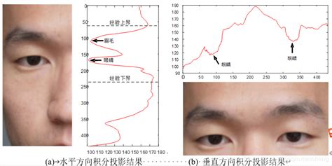 Matlab计算图像的灰度积分投影matlab 积分投影代码 Csdn博客
