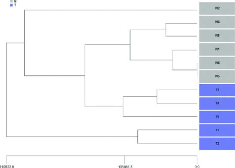 agglomerative unsupervised hierarchical clustering of the microarray