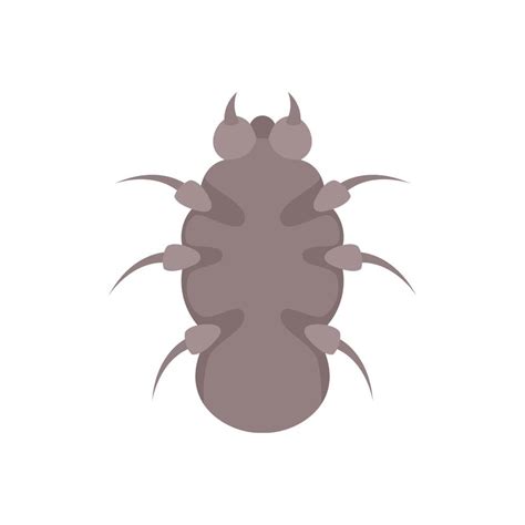 Danger Bug Icon Flat Isolated Vector 15061436 Vector Art At Vecteezy