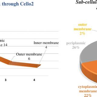 Sub Cellular Localization Quantitative Representation Of Sub Cellular