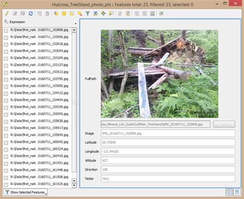 Bug Report 15243 Photos Not Displaying In Feature Form When Edit