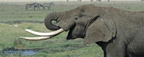 Cnpg Recipe 20 Finer Control Of Postgres Clusters With Readiness