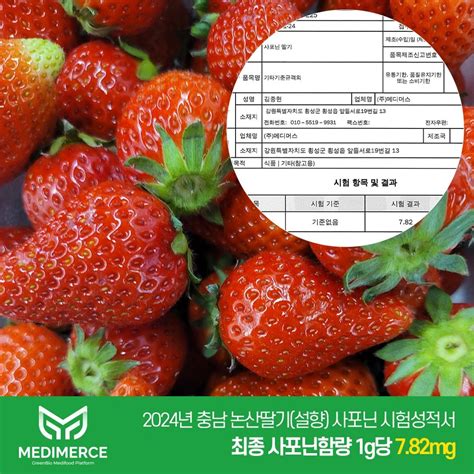 메디머스 2024년 충남 논산딸기 그린바이오 사포닌딸기 시험재배 성공2024124 김종현