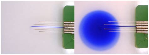 Array Electrodes An000988 An000989 An000993 An001091 An0001138
