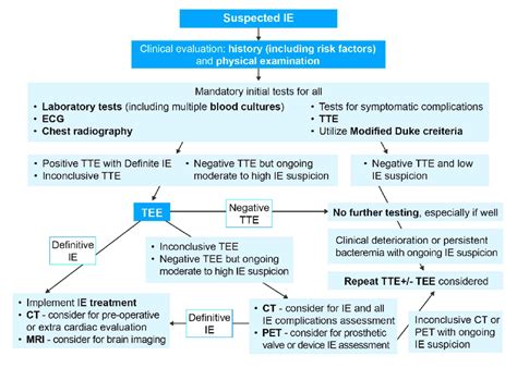 Multi Modality Imaging Diagnostic Algorithm For Infective Endocarditis