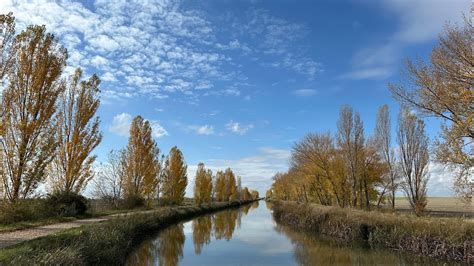 산티아고 순례길 12일차 온타나스에서 프로미스타 아름다운 가을 순례길 풍경 Youtube