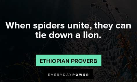 Unity Quotes And Diversity Sayings To Help Us Stand Together Daily