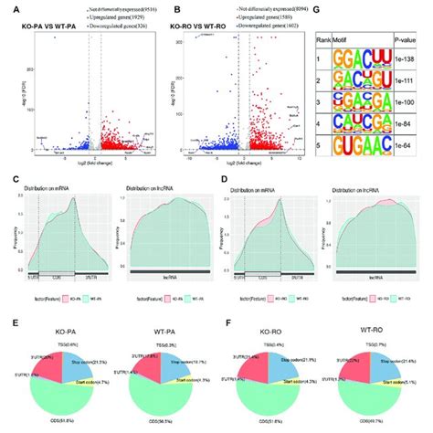 Differential Gene Analysis FPKM Density Distribution A Volcano