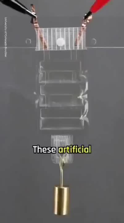 Nisha Kaur [ L I O N] On Linkedin Dwqegeuy