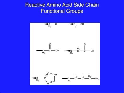 The Nature Of The Active Site Ppt Download