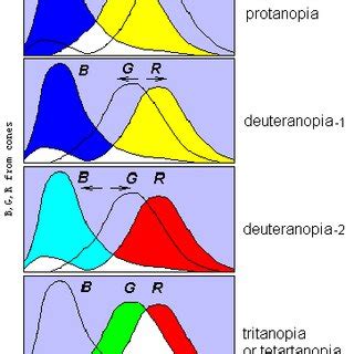 Different Kinds Of Color Blindness Illustrated By Incomplete Download Scientific Diagram