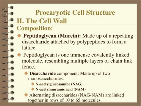 Ppt Chapter 4 Functional Anatomy Of Procaryotic And Eucaryotic Cells Powerpoint Presentation