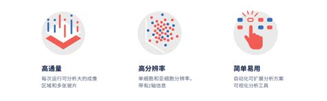 空间转录组测序平台 科研服务 上海伯豪生物技术有限公司 服务科技创新，护航人类健康！