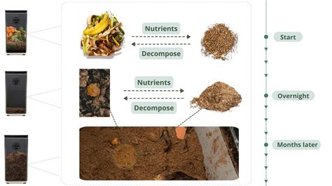 How Do Electric Composters Work