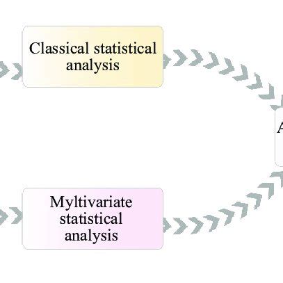 Steps Of A Typical Route Of The Metabolomics Analysis Download Scientific Diagram