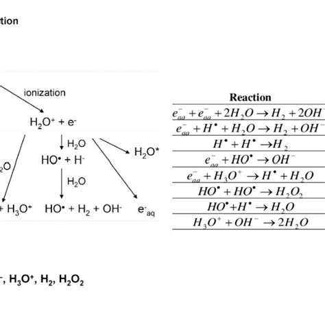 excitation and ionisation of h2o yields reactive particle species le