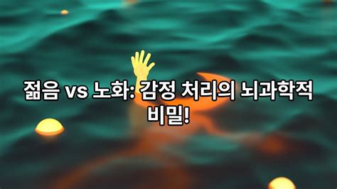 단 한번의 인생 감정의 연륜 젊은 뇌와 나이든 뇌의 감정 처리 차이 YouTube