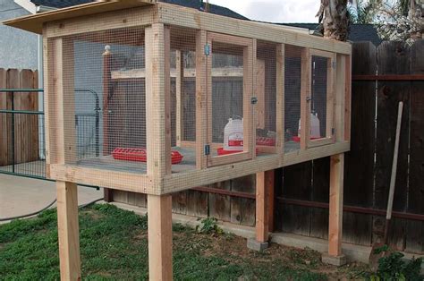 Coturnix Quail Quail Coop Quail House Chickens Backyard