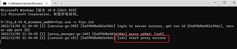 使用frp进行内网穿透frp内网穿透 Csdn博客