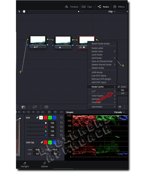 DaVinci Resolve Render Cache Color Output Fusion