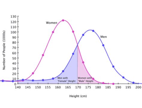 Psych Of Sex Final Flashcards Quizlet