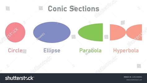 Types Conic Sections Circle Ellipse Parabola Stock Vector Royalty Free 2291309691 Shutterstock