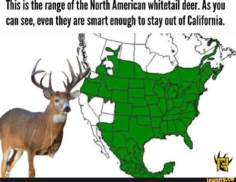 This Ts The Range Of The North American Whitetail Deer As You Can See Even They Are Smart