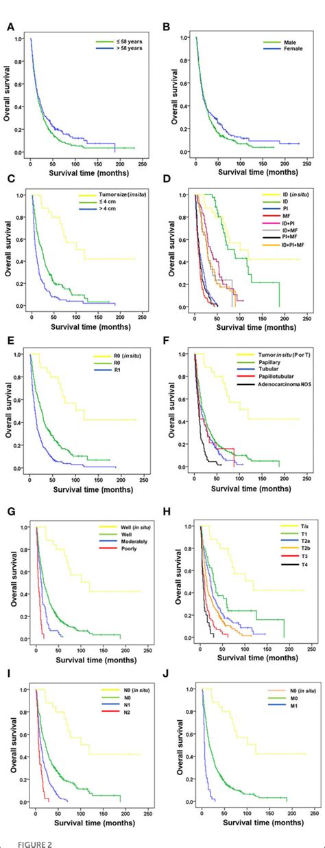 Figure 1 From Modification Of The Eighth Ajcc Uicc Staging System For