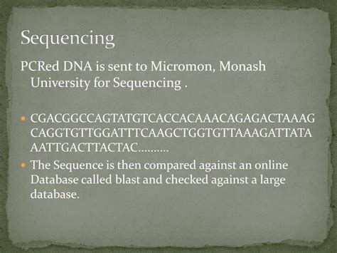 PPT DNA Barcoding PowerPoint Presentation Free Download ID