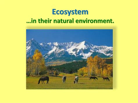 Ppt Interdependency Powerpoint Presentation Free Download Id 3240391