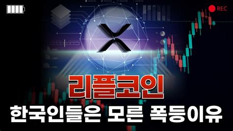 리플코인 대한민국 사람들은 모두 속고 있었습니다 Youtube