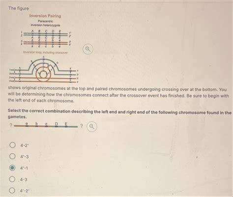 Solved The Figureinversion Pairingparacentric Inversion