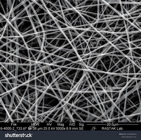 Future Here Marvels Nanofiberssem Image Chitosan Stock Illustration