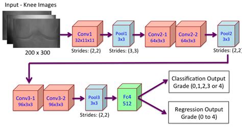 the network architecture for simultaneous classification and regression