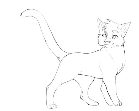 Fluffy Cat Drawing At Getdrawings Free Download