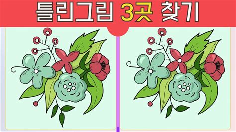 기억력 향상 프로젝트 감동의 꽃다발 틀린그림찾기 Find The 3 Differences 집중력 기억력 다른그림