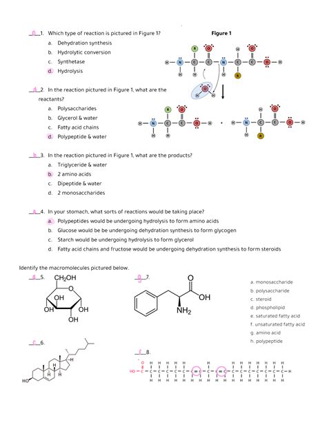 Biology Biolgy Notes 1 Which Type Of Reaction Is Pictured In Figure 1 Figure 1 A