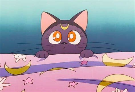 Luna Cat