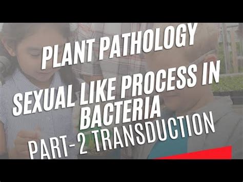 Sexual Like Processes In Bacteria Part 2 Transduction YouTube
