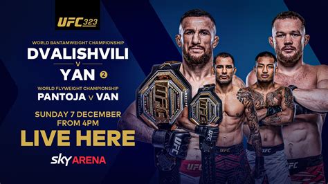 Bealey Quarter Christchurch