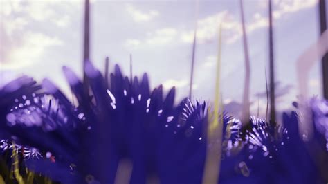 3d Intro Spring Flower 23441544 Stock Video At Vecteezy