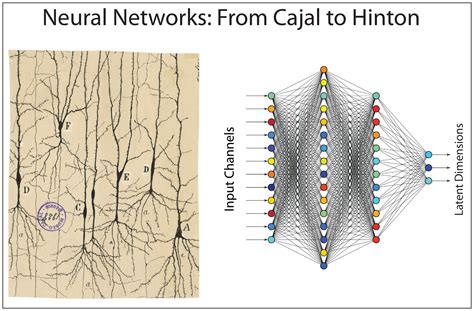 a short history of neural networks galileo unbound