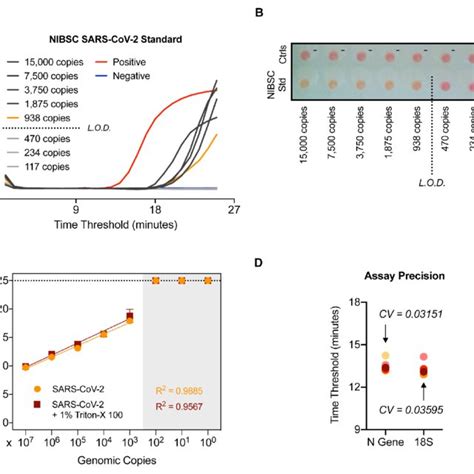 Clinical Validation Of Sars Cov 2 Rt Lamp A 37 Patient Samples Were Download Scientific