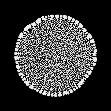 Differential Line Growth Simulation Made In Sidefx Houdini Artofit