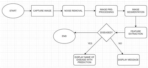 Github Daleepsra Plant Disease Detection