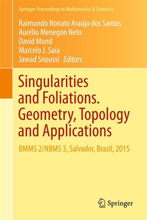 Springer Proceedings In Mathematics And Statistics 222 Singularities And Foliations