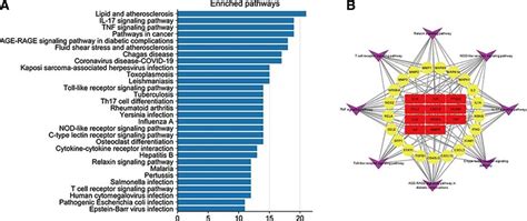 Kegg Enrichment Analysis And Target Pathway Network Construction A