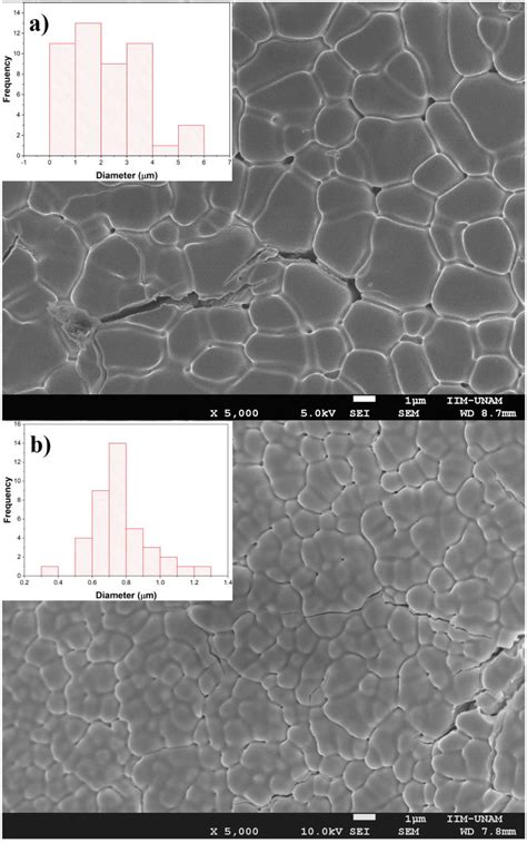 sem micrographs for a mncosi and b mncosib0 5 melt spun alloys main